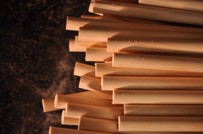 What’s a Bundle of Sticks and Why Should You Care? | The Legal Scoop on ...